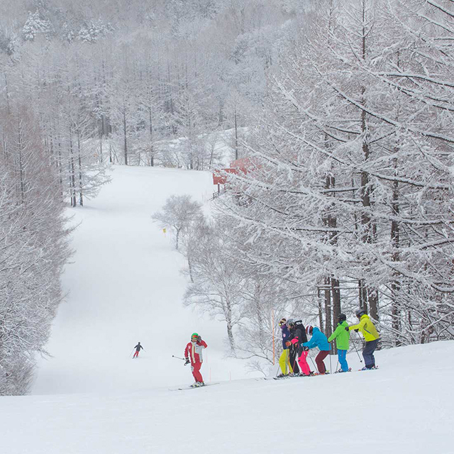 杉山スキー&スノースポーツスクール 杉山スキー&スノースポーツスクール